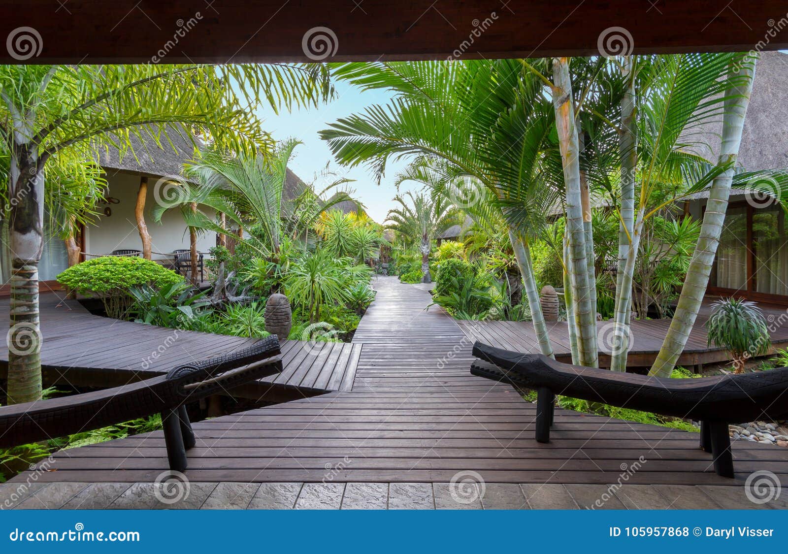 Walkway in tropical garden stock photo. Image of garden - 105957868