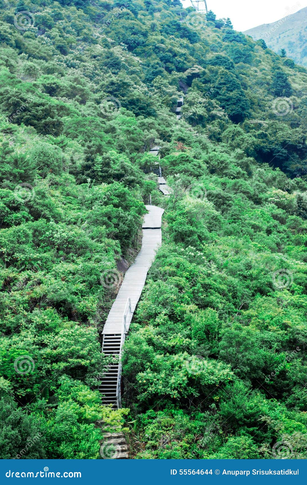 Walkway stock photo. Image of valley, landscape, walkway - 55564644