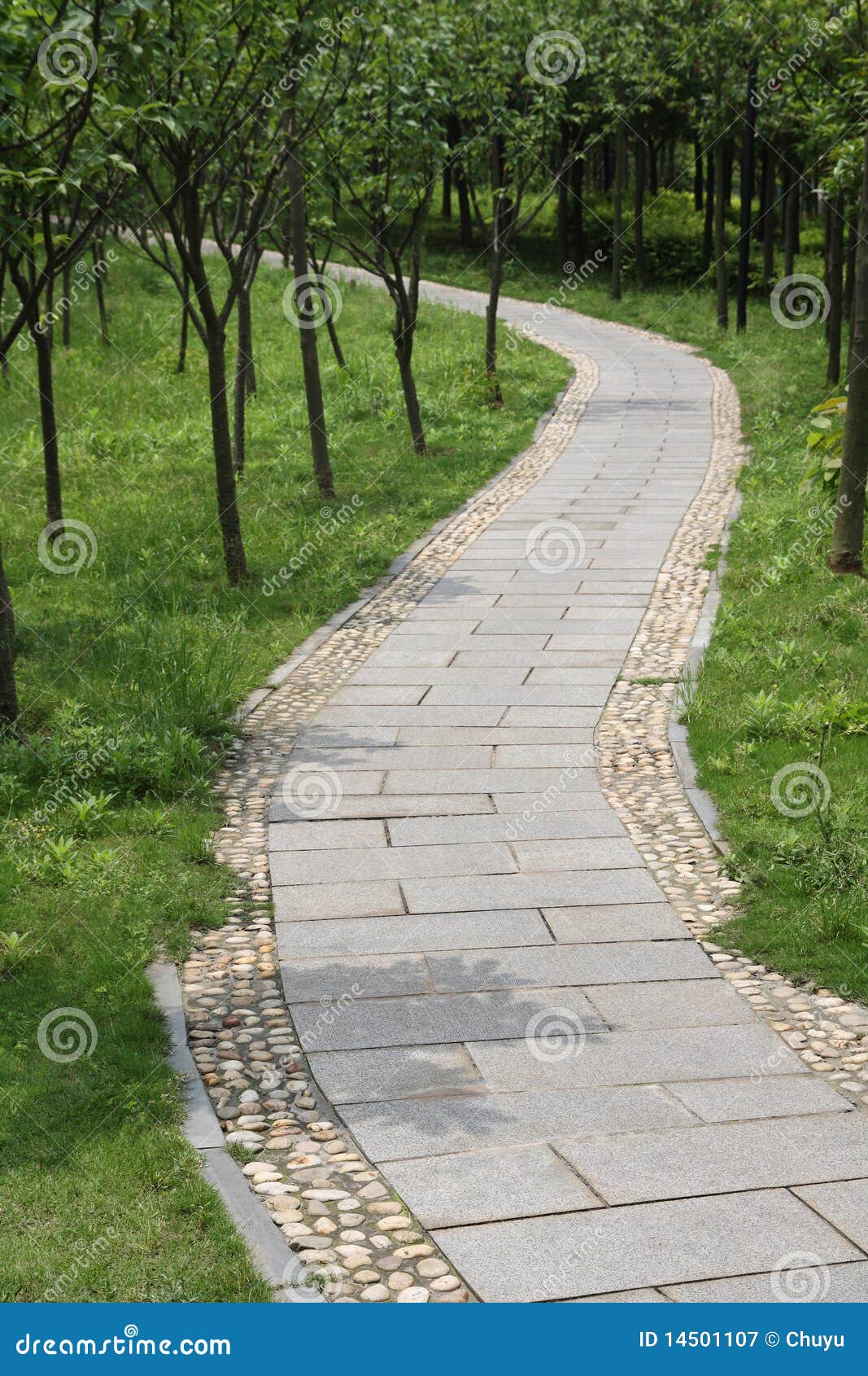 Walkway winding stock image. Image of rock, lush, fresh - 14501107