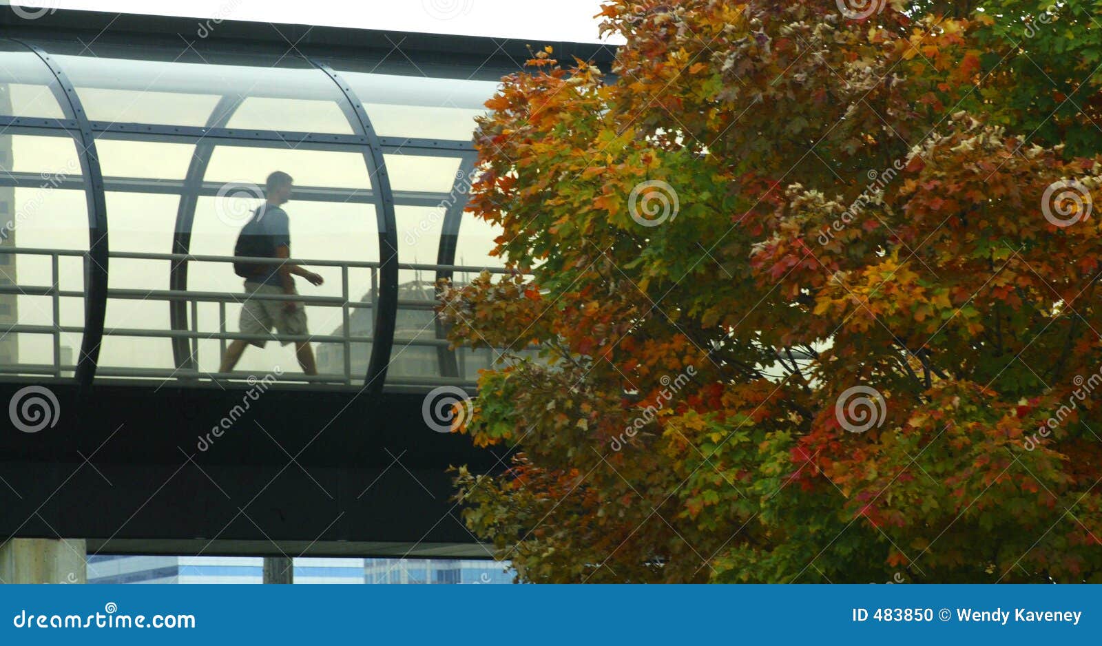 Walkway of Windows stock photo. Image of autumn, education - 483850