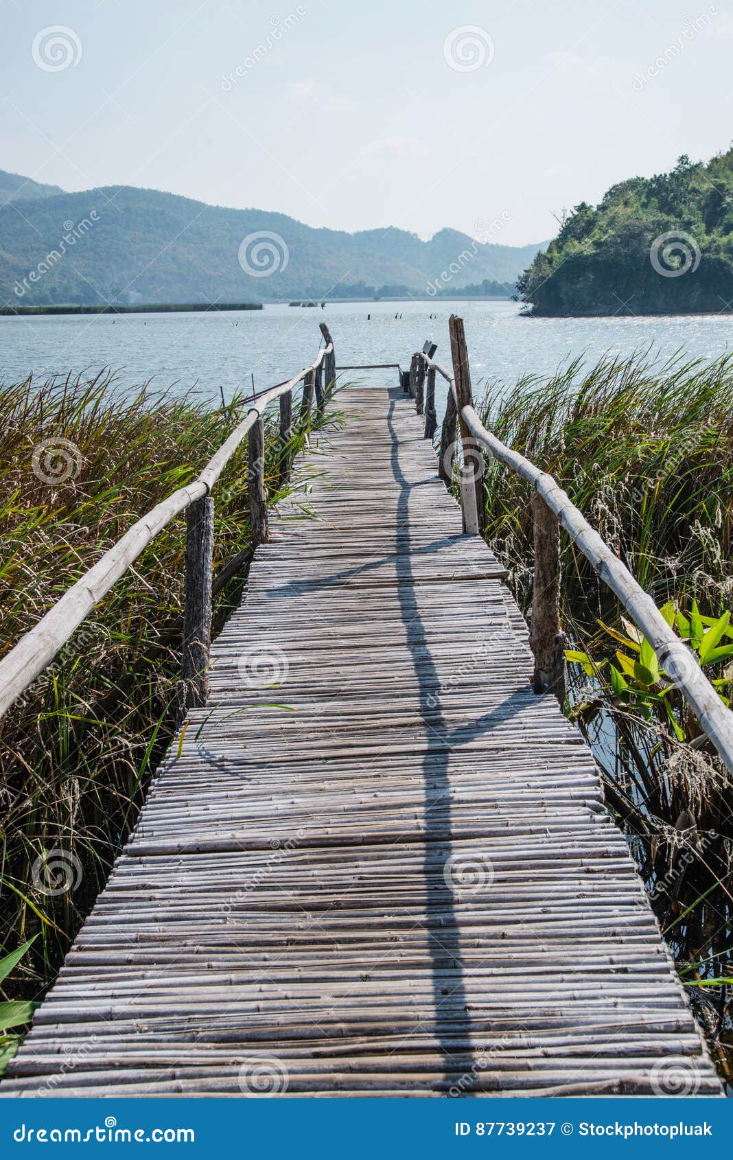 Walkway Wood Texture a Natural Stock Image - Image of outdoors ...