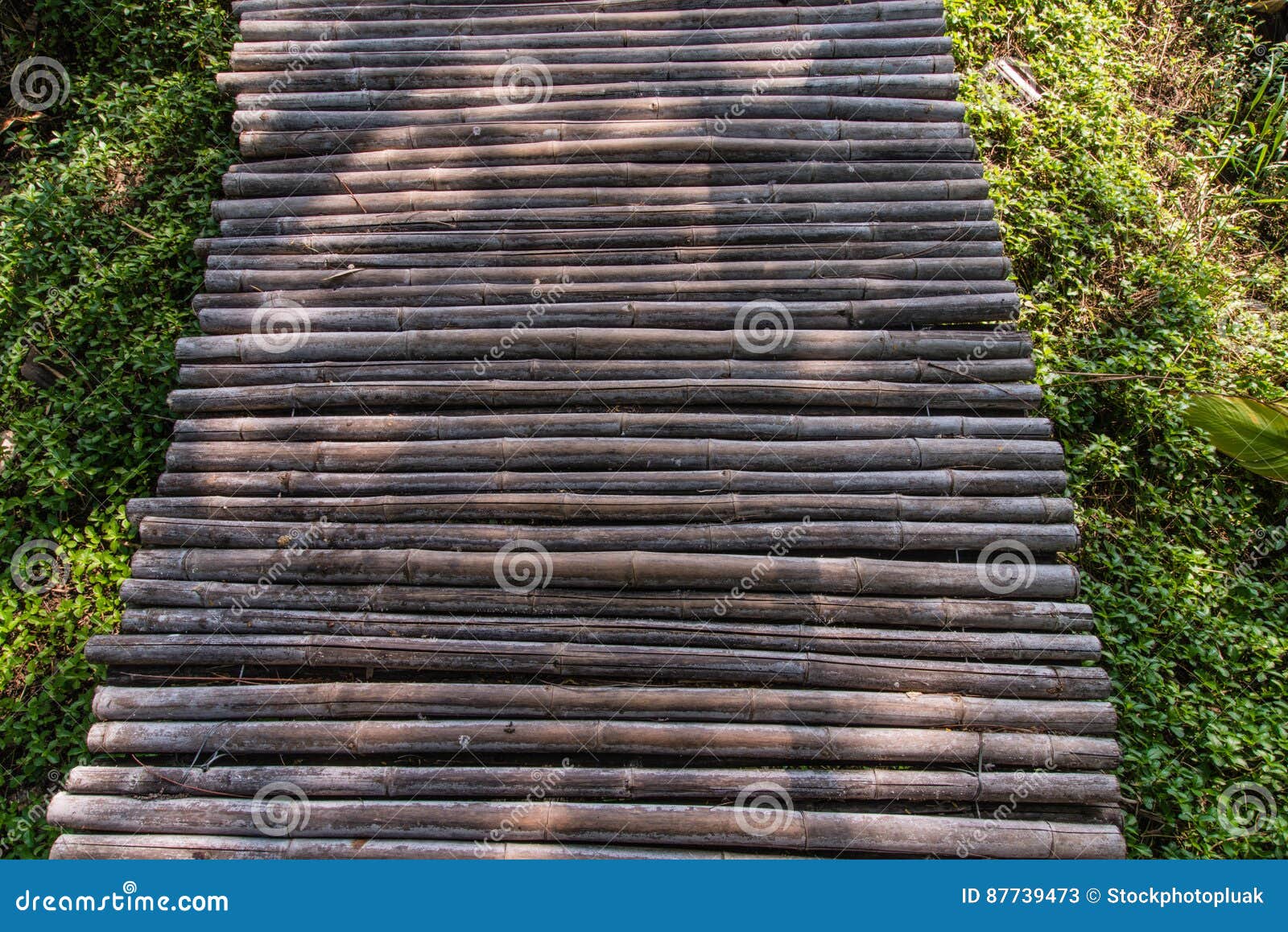 Walkway Wood Texture a Natural Stock Image - Image of nature, outdoor ...