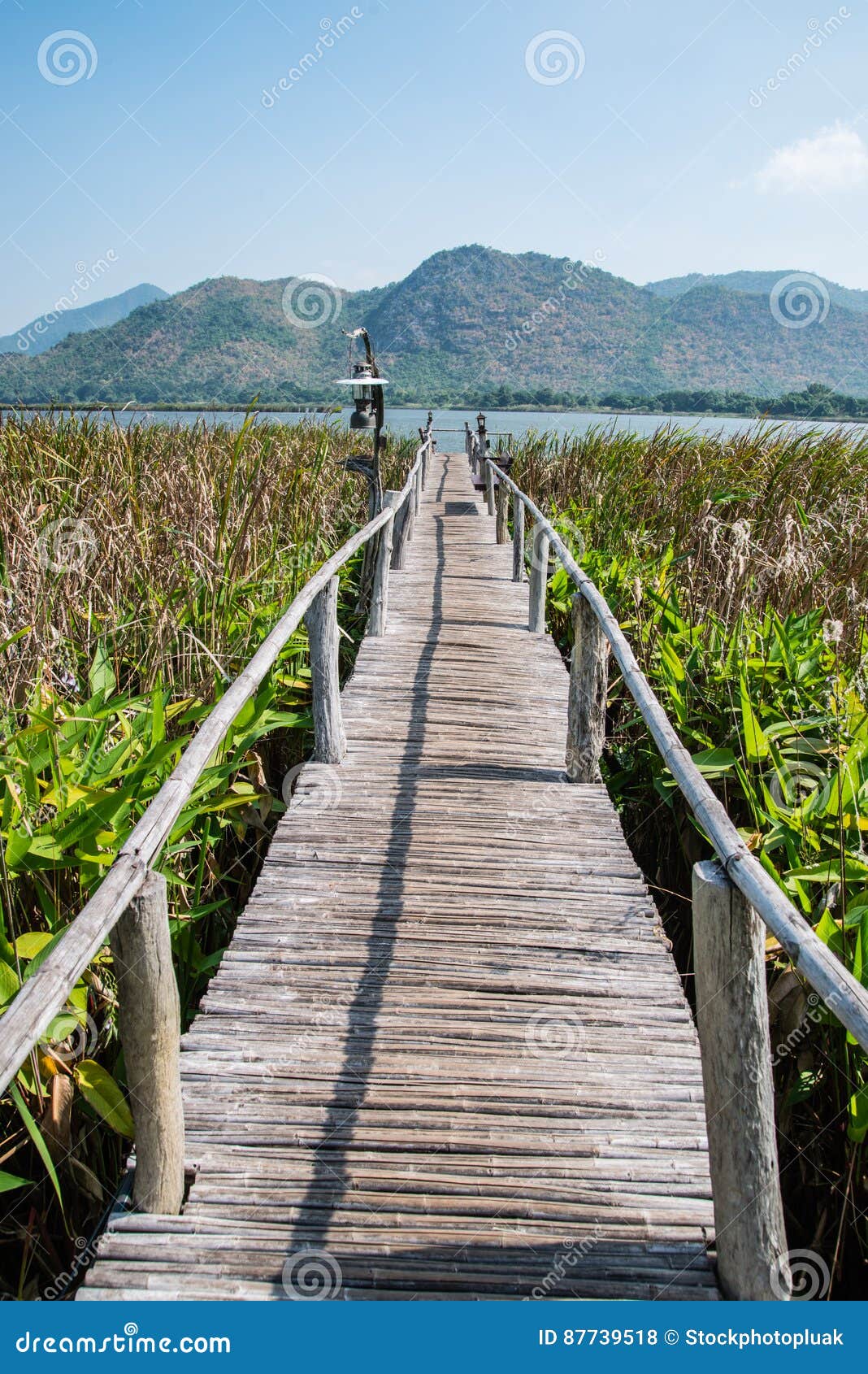 Walkway Wood Texture a Natural Stock Photo - Image of boardwalk ...