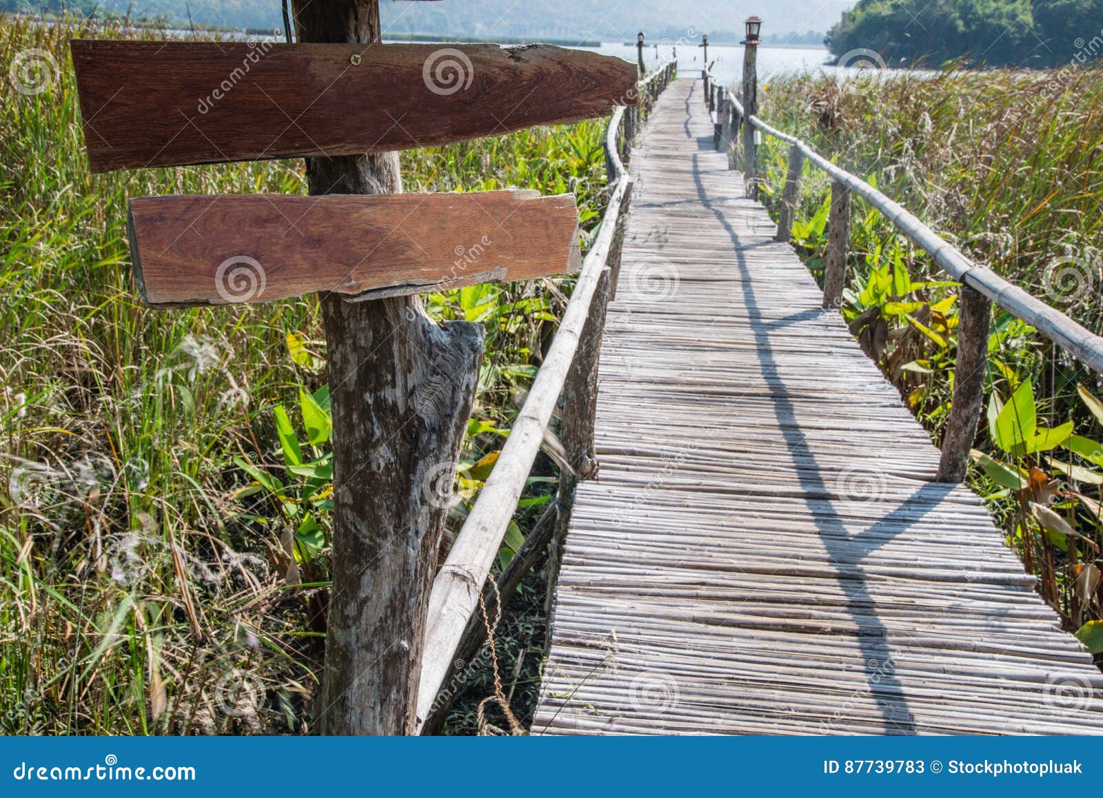 Walkway Wood Texture a Natural Stock Image - Image of beautiful, park ...