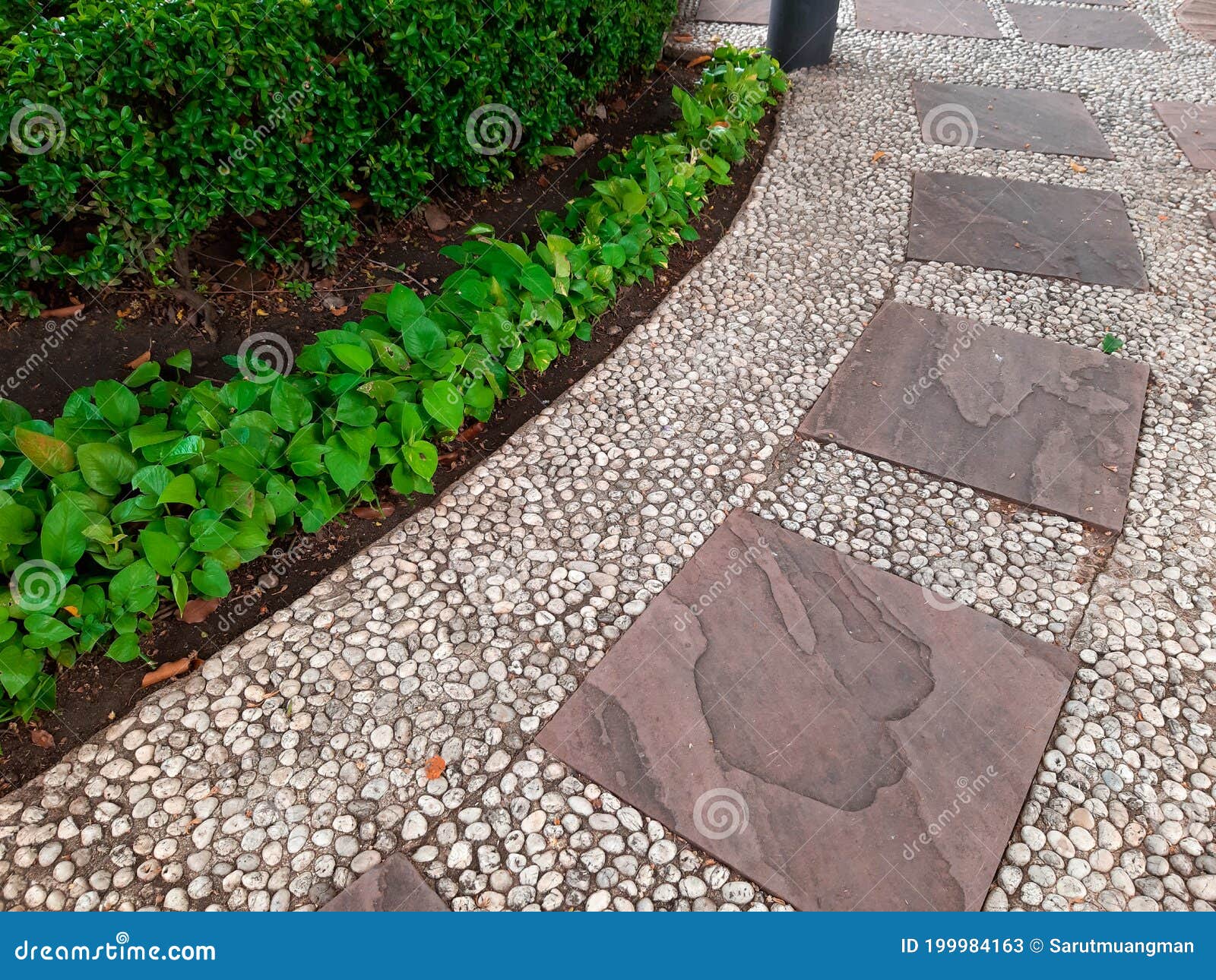 Walkways of Parks. Garden Path of Paving Slabs in the Garden Floor ...
