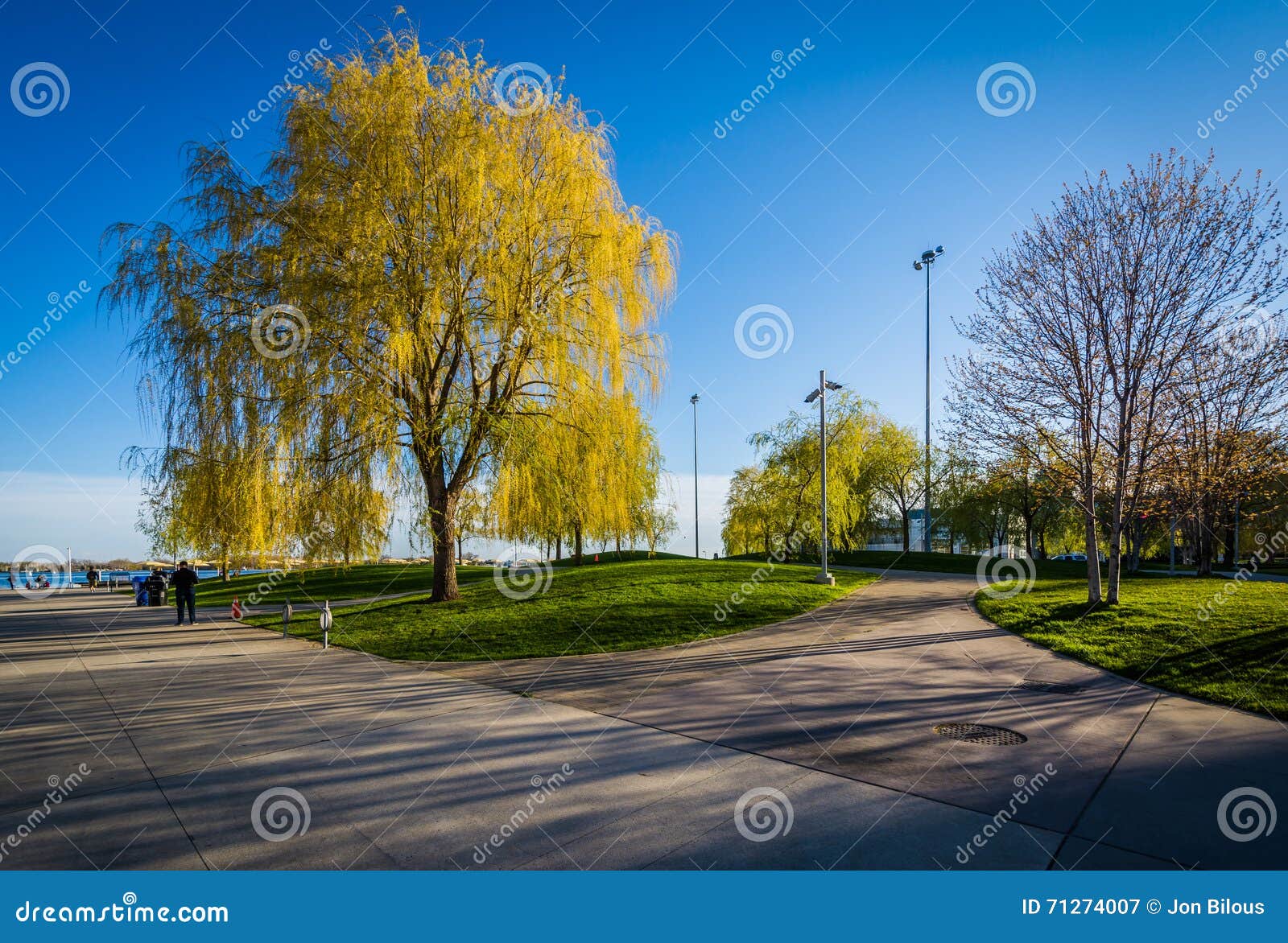Walkways and Spring Color at the Harbourfront in Toronto, Ontario ...