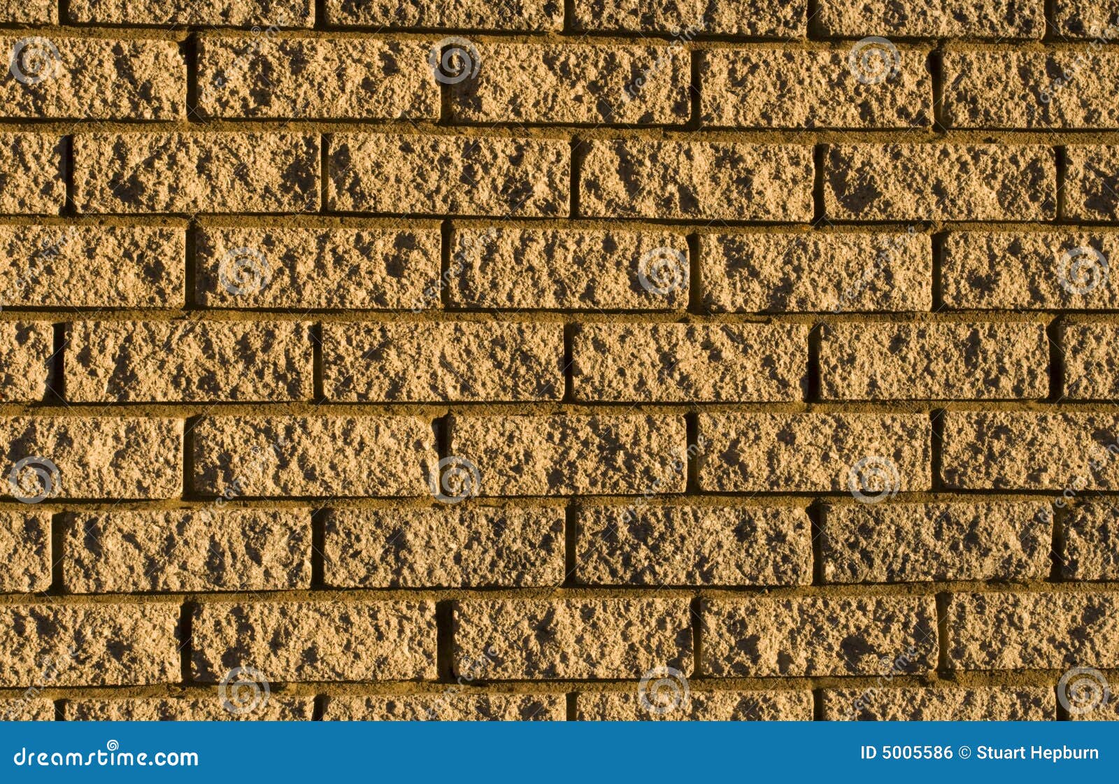 Vertical Block Wall Design