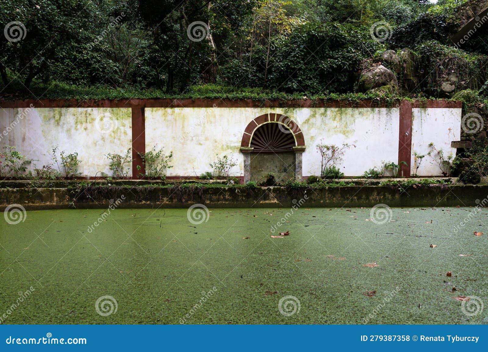 Wall with Arched Opening in the Park with Pond Covered with Green Algae ...