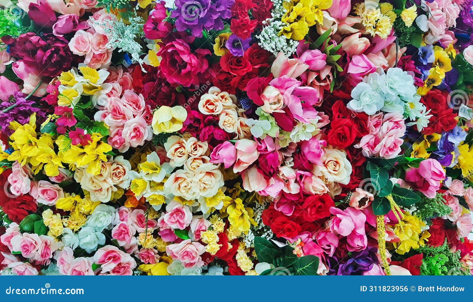 Wall of Assorted Spring Flowers in a Splash of Vibrant Colors, Full ...