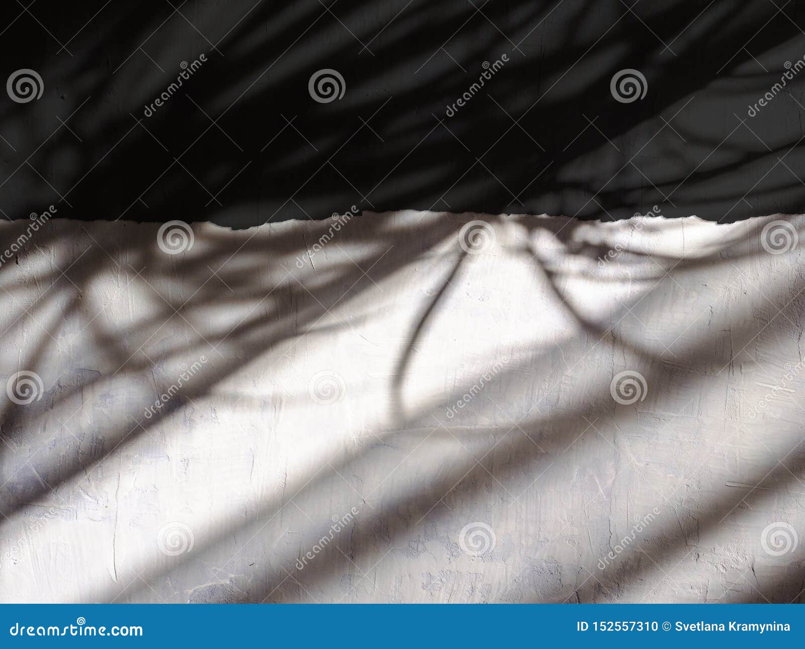 Wall Background with Shadow from Flowers. Stock Photo - Image of ...