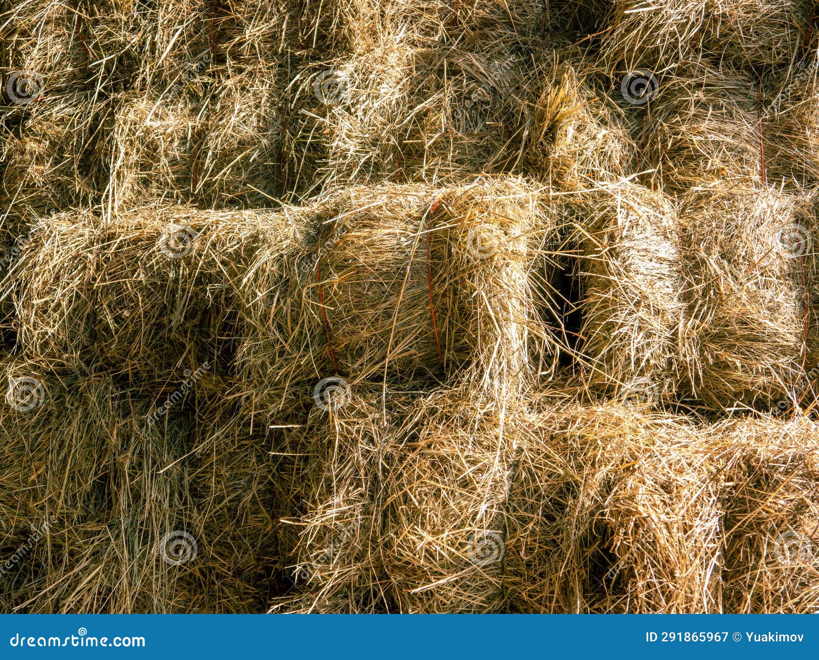 Wall of Baled Hay Flat Surface Stock Image - Image of farm, grass ...