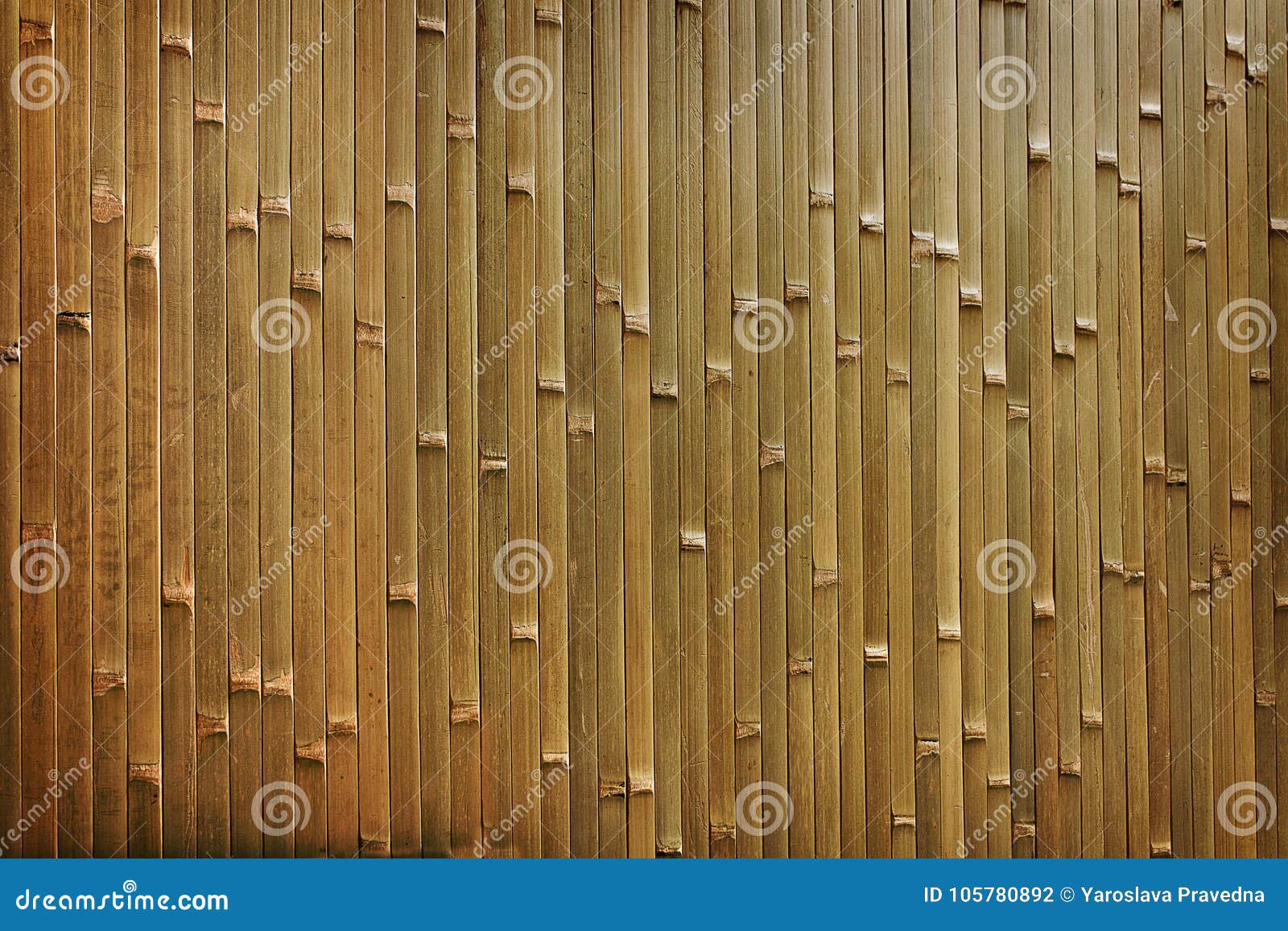 Wall of bamboo strips stock photo. Image of material - 105780892