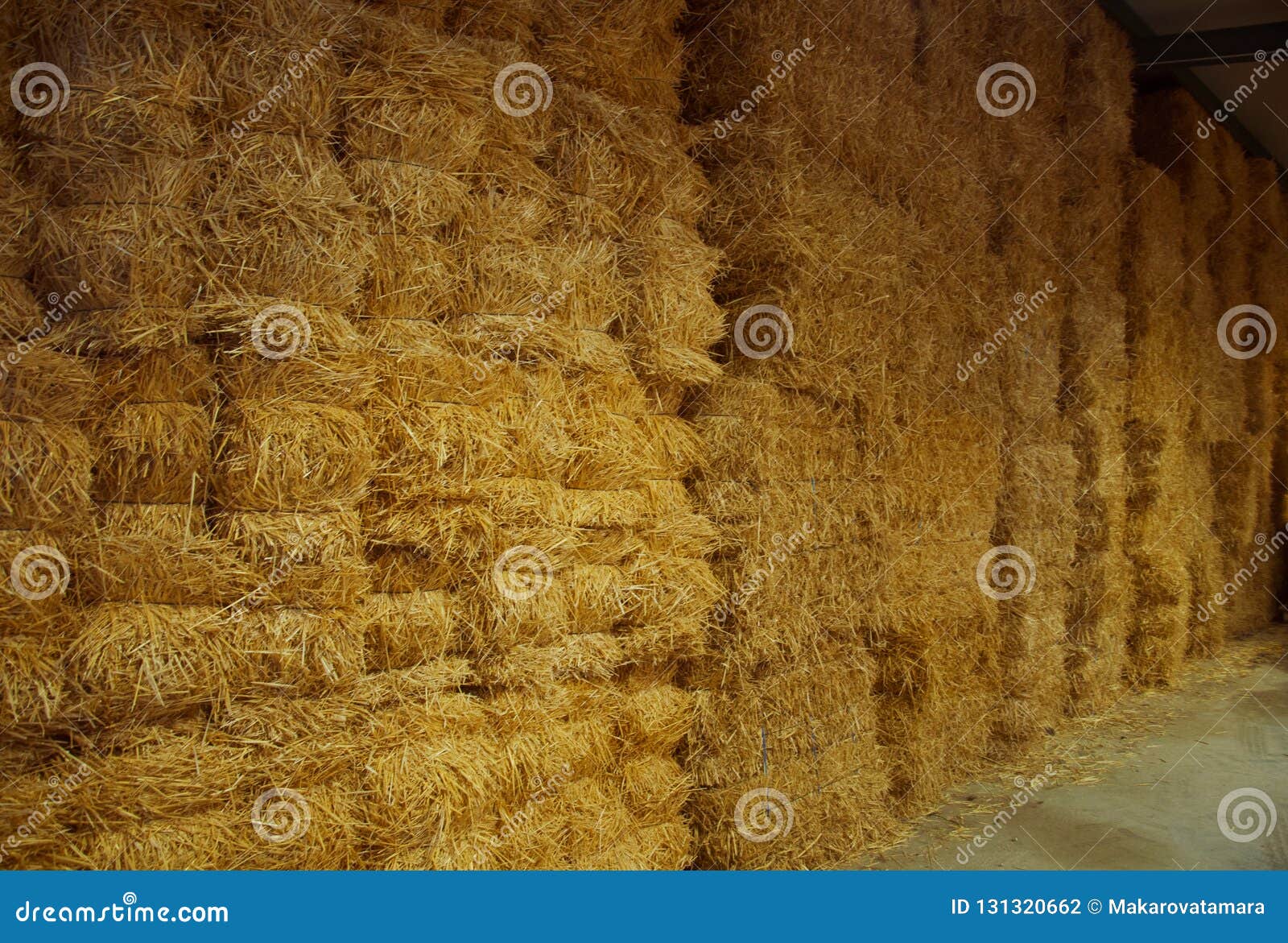 Wall of Big Packs of Hay in the Storehouse Stock Photo - Image of color ...