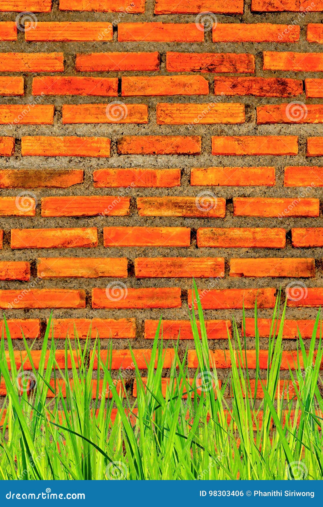 The Wall from Brick and Brick Background with Grass on Below, Red Brick ...