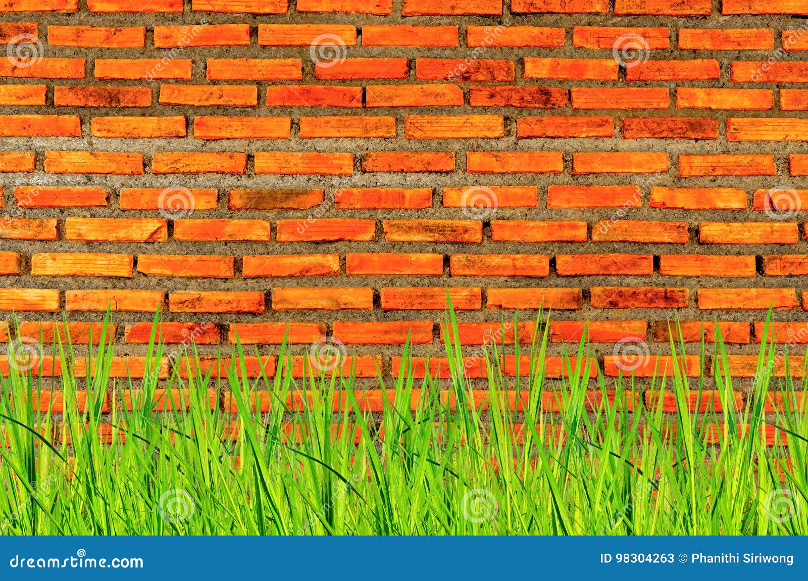 The Wall from Brick and Brick Background with Grass on Below, Red Brick ...
