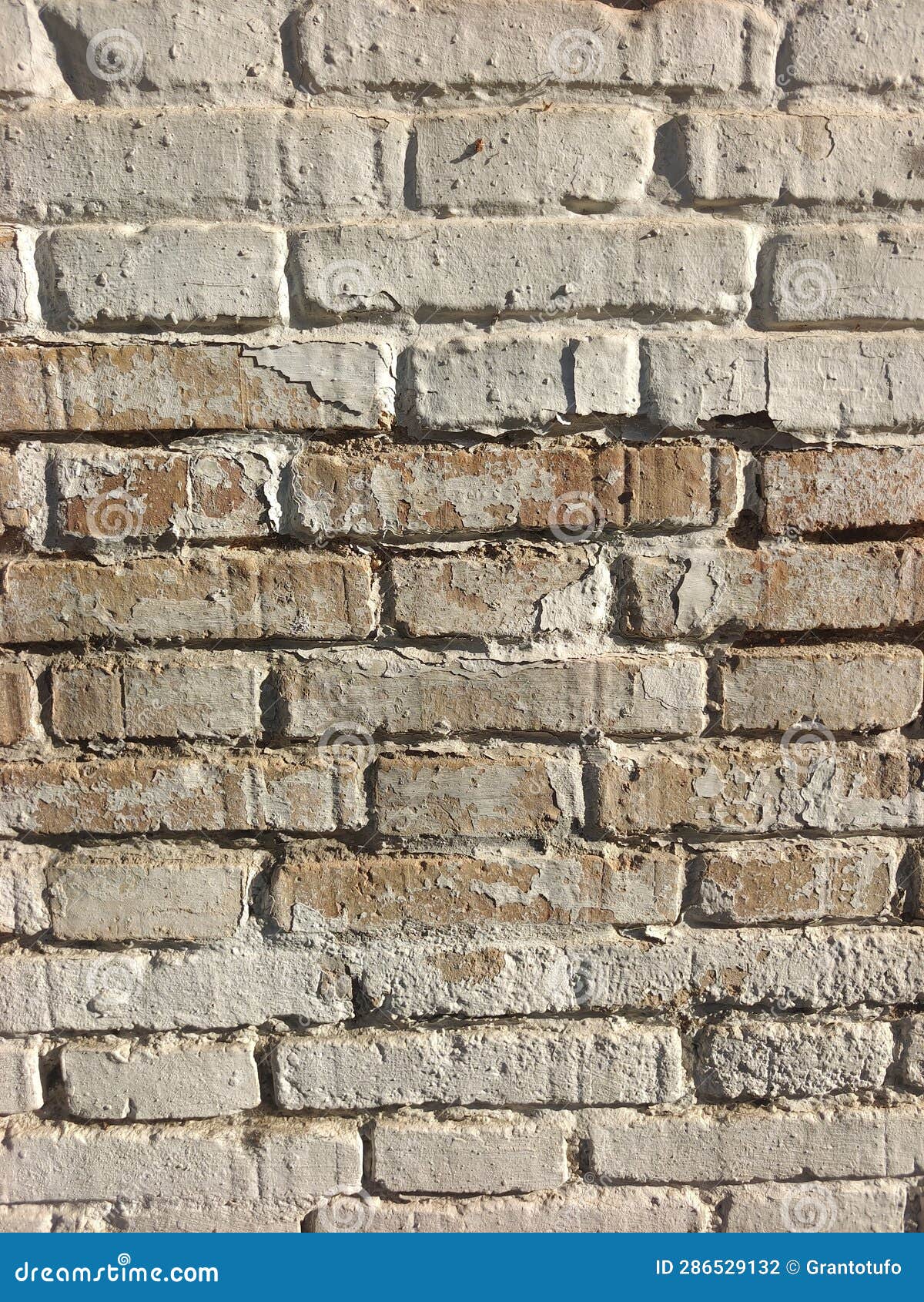 Wall of Brick Forming a Background Stock Photo - Image of forming, wall ...