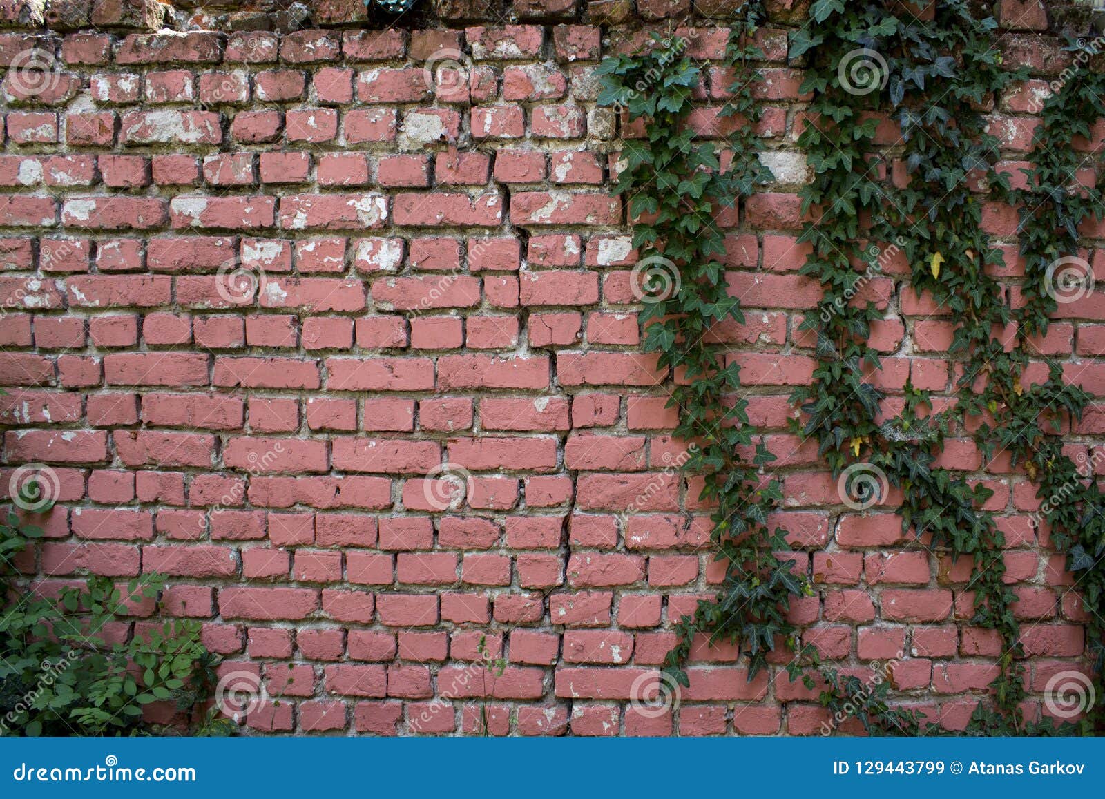 Wall Bricks Reddish with Plants Horizontal Texture. Stock Image - Image ...