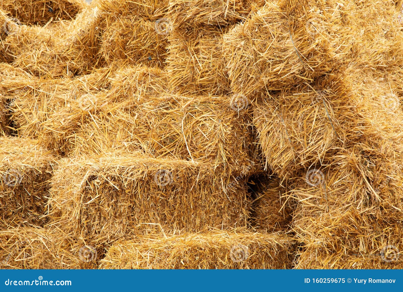 Rectangular Yellow Packs of Hay on Background Stock Image - Image of ...