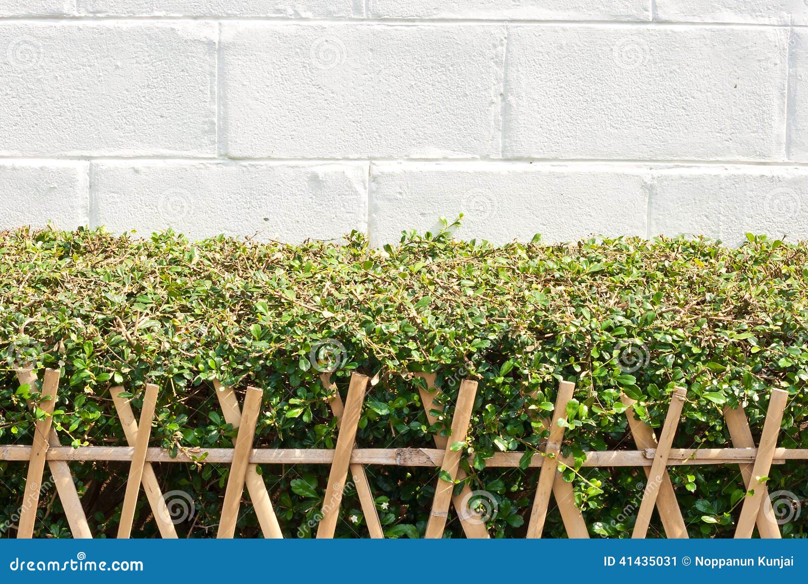 Wall stock image. Image of hedge, horizontal, pattern - 41435031