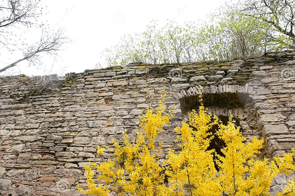 Wall and bushes stock image. Image of historic, medieval - 70672607