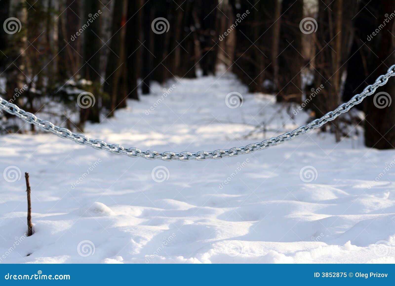 Wall of the Chain in the Forest Stock Image - Image of footpath, chain ...