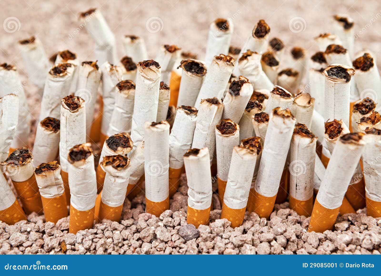 Wall of cigarettes stock image. Image of smoke, medical - 29085001