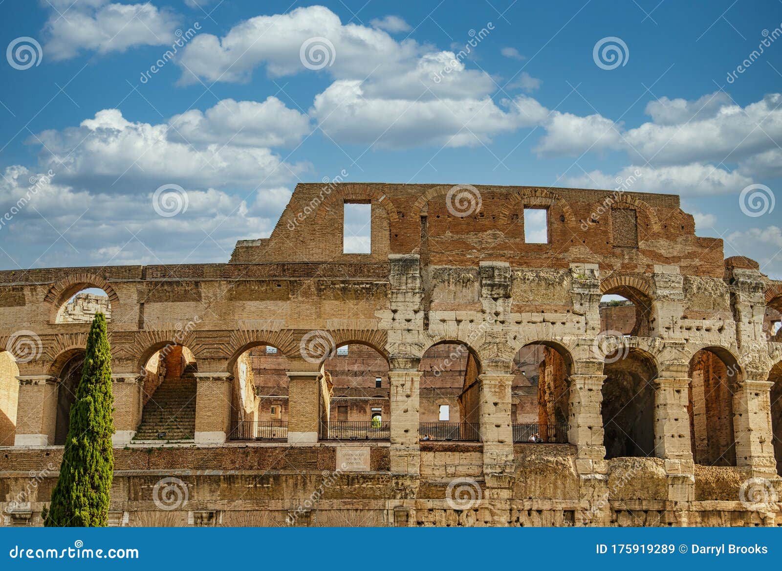 Wall of Coliseum and Juniper Stock Image - Image of arch, italy: 175919289