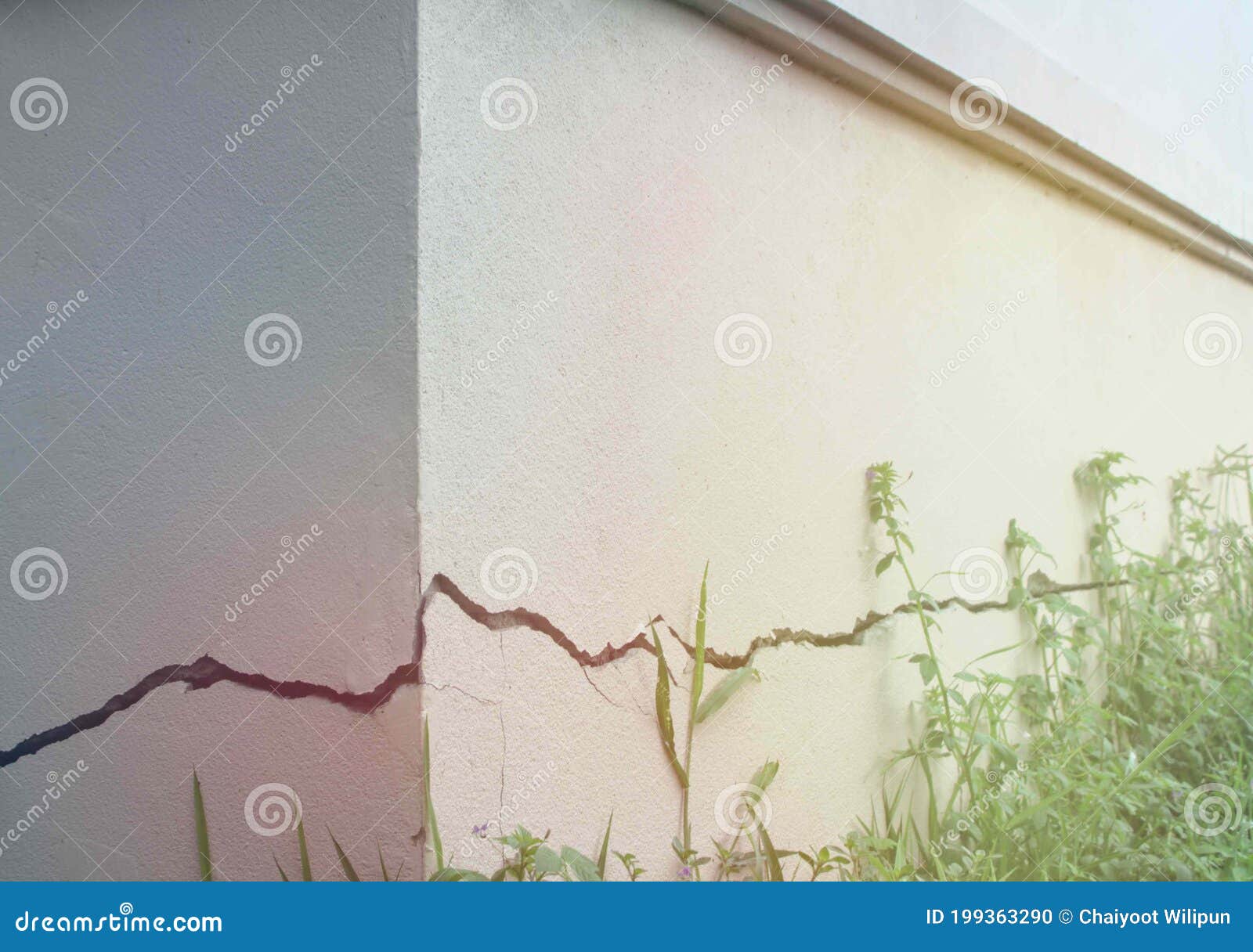 Wall Corner Background Wall Cracks, Grass, Sunlight,Construction Age ...
