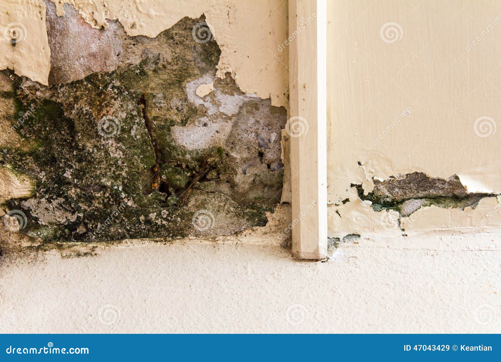 Wall corner decay stock image. Image of crack, concrete - 47043429