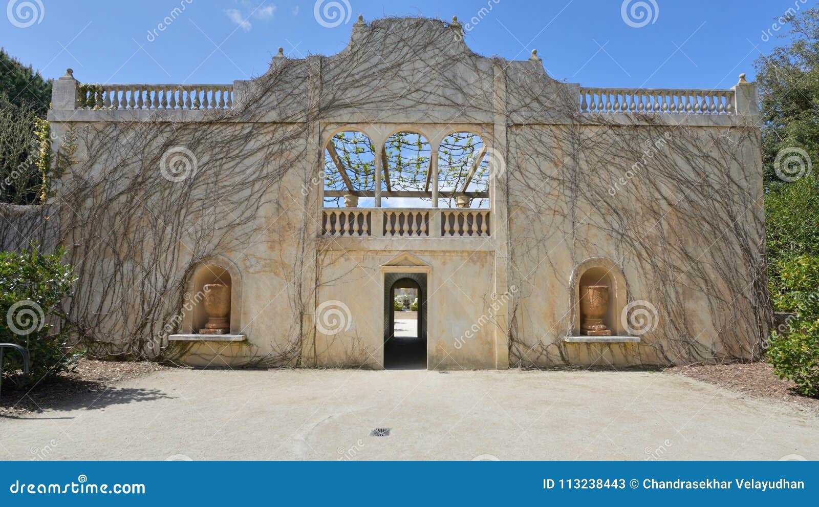 A Wall Covered with Creepers in a Decorative Random Pattern Stock Image ...