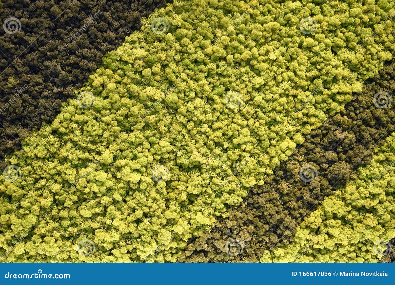 Wall Covered with Natural Decorative Green Moss. Texture, Wallpaper ...