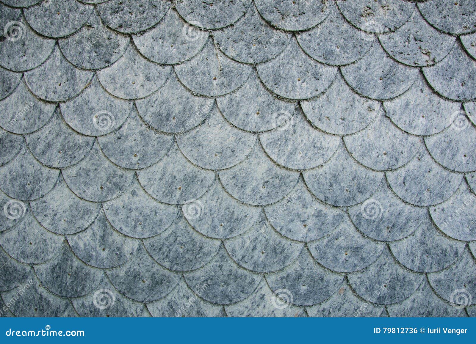 Wall Covered Scaly Elements Fibrous Material Flake Stock Photos - Free ...
