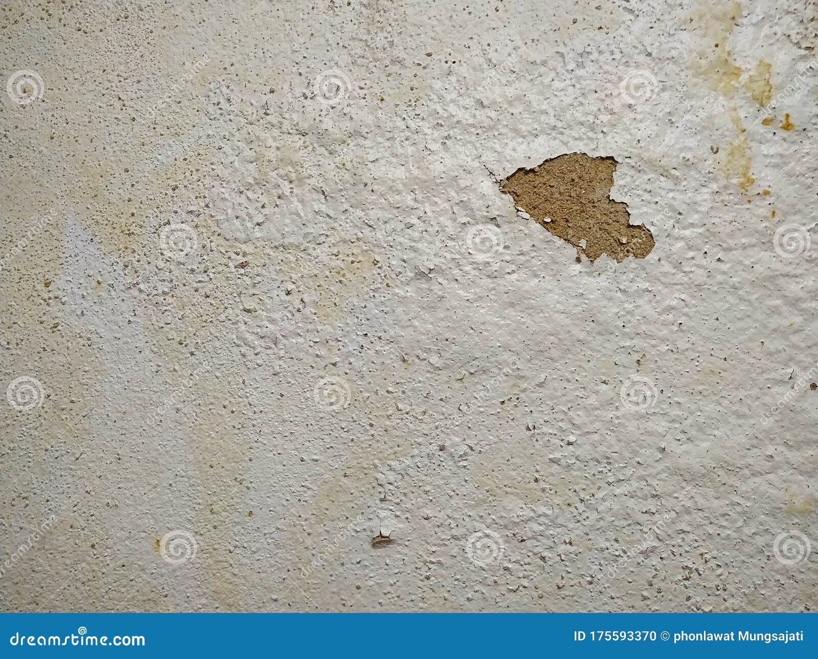 The Wall Damage because of Water Leaks, White Cement Wall with Mold ...