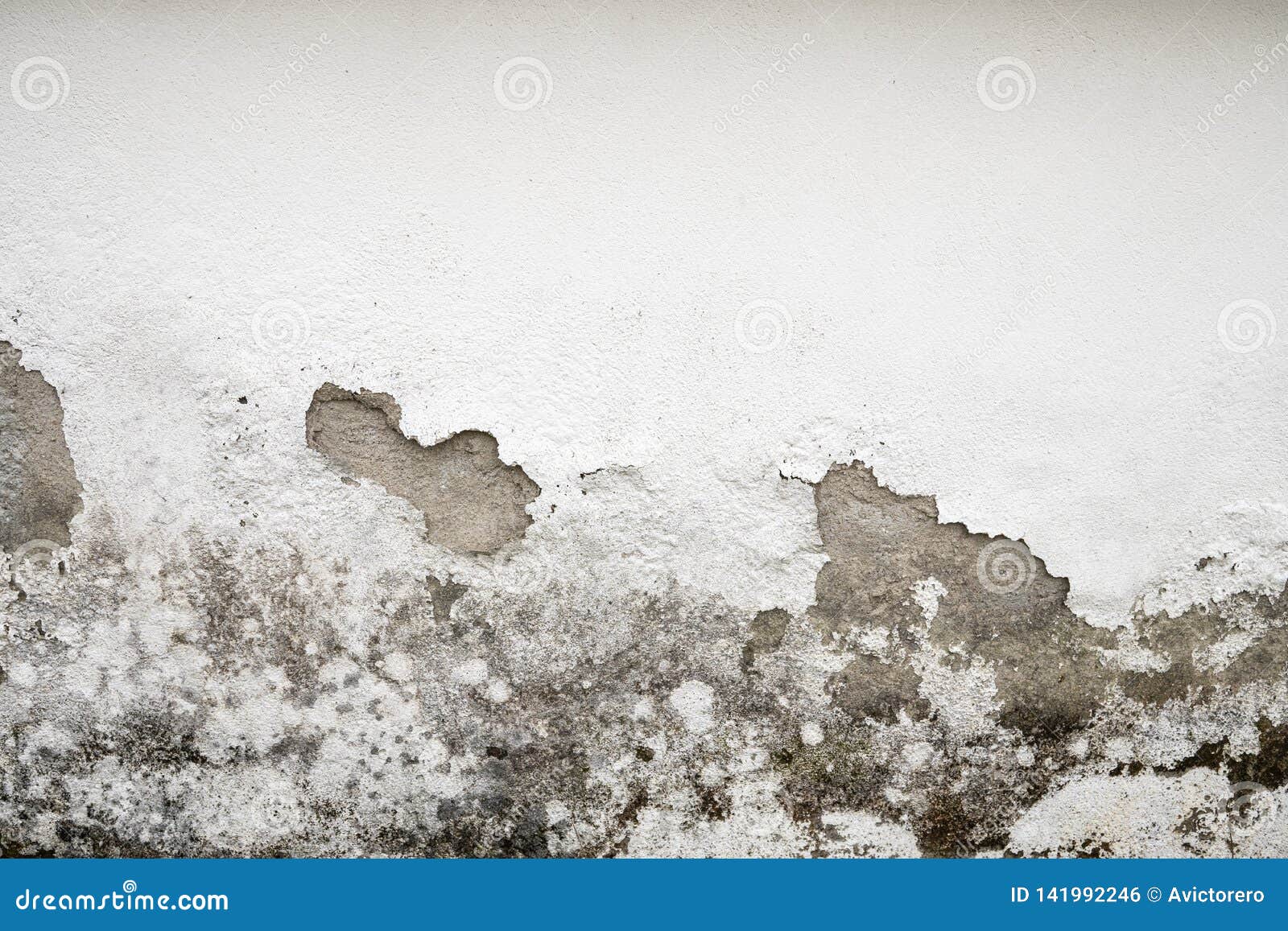 Wall damaged by humidity stock photo. Image of home - 141992246