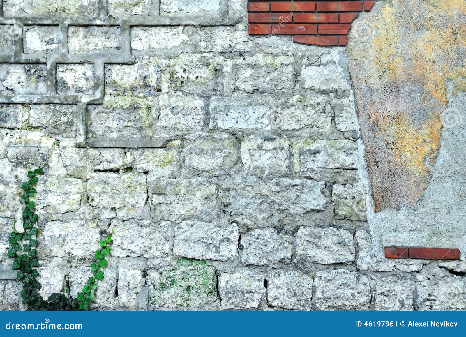 Wall with Damaged Plaster stock image. Image of plaster - 46197961