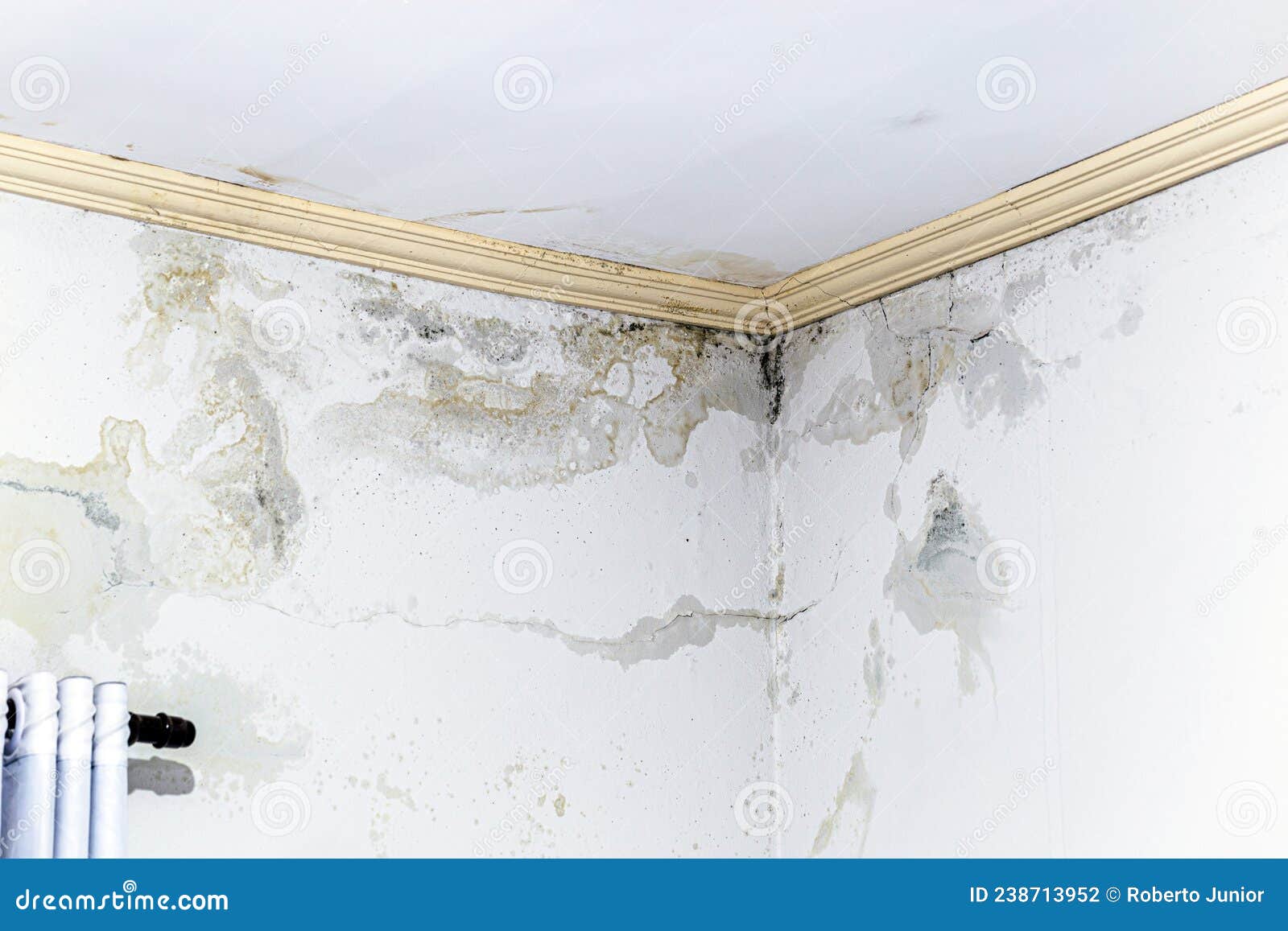 Wall Damp from Excessive Rain, Problems of Infiltration and Mold on the ...