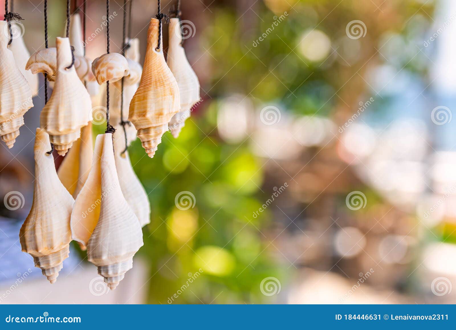 Wall decor made of shells. stock image. Image of colorful - 184446631