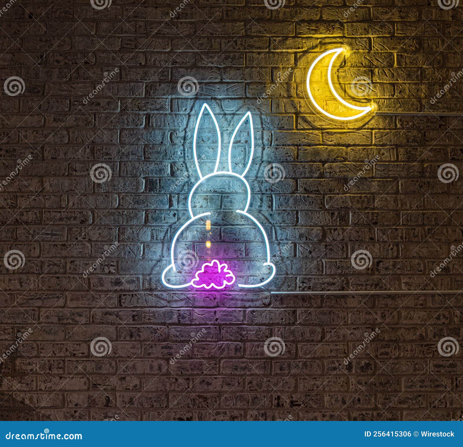 Wall Decorated with a Cute Rabbit Neon Sign with the Moon Stock Photo ...
