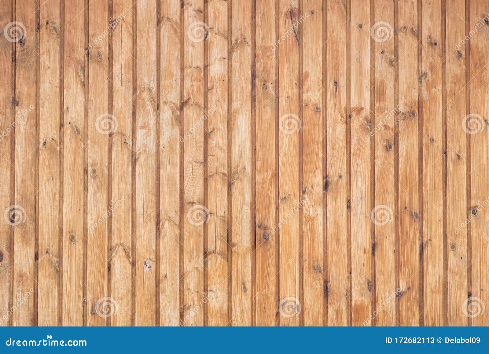 The Wall are Decorated with Natural Pine Clapboard. Stock Image - Image ...