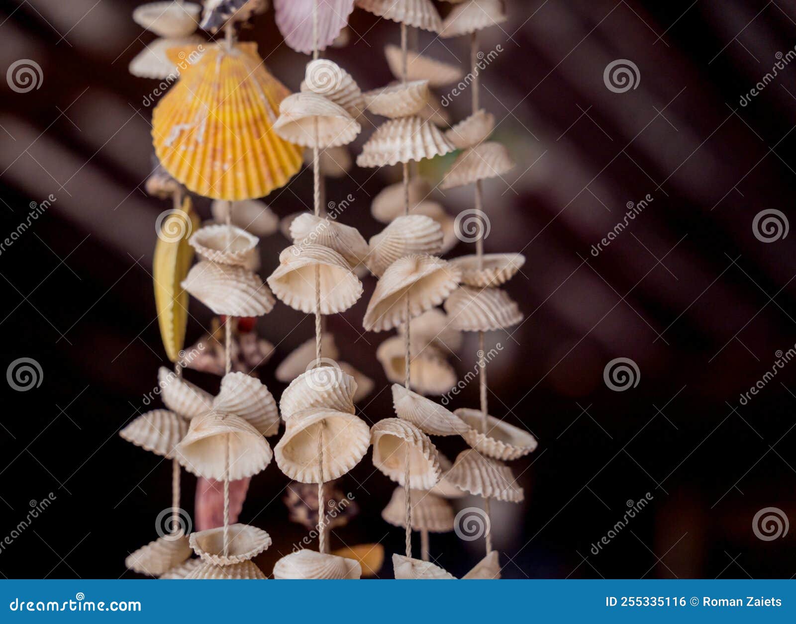 Wall Decorated with Scallop Shells in a Row Stock Photo - Image of ...