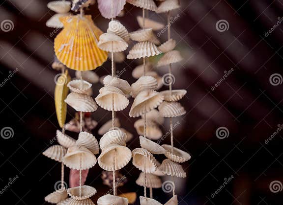 Wall Decorated with Scallop Shells in a Row Stock Photo - Image of ...