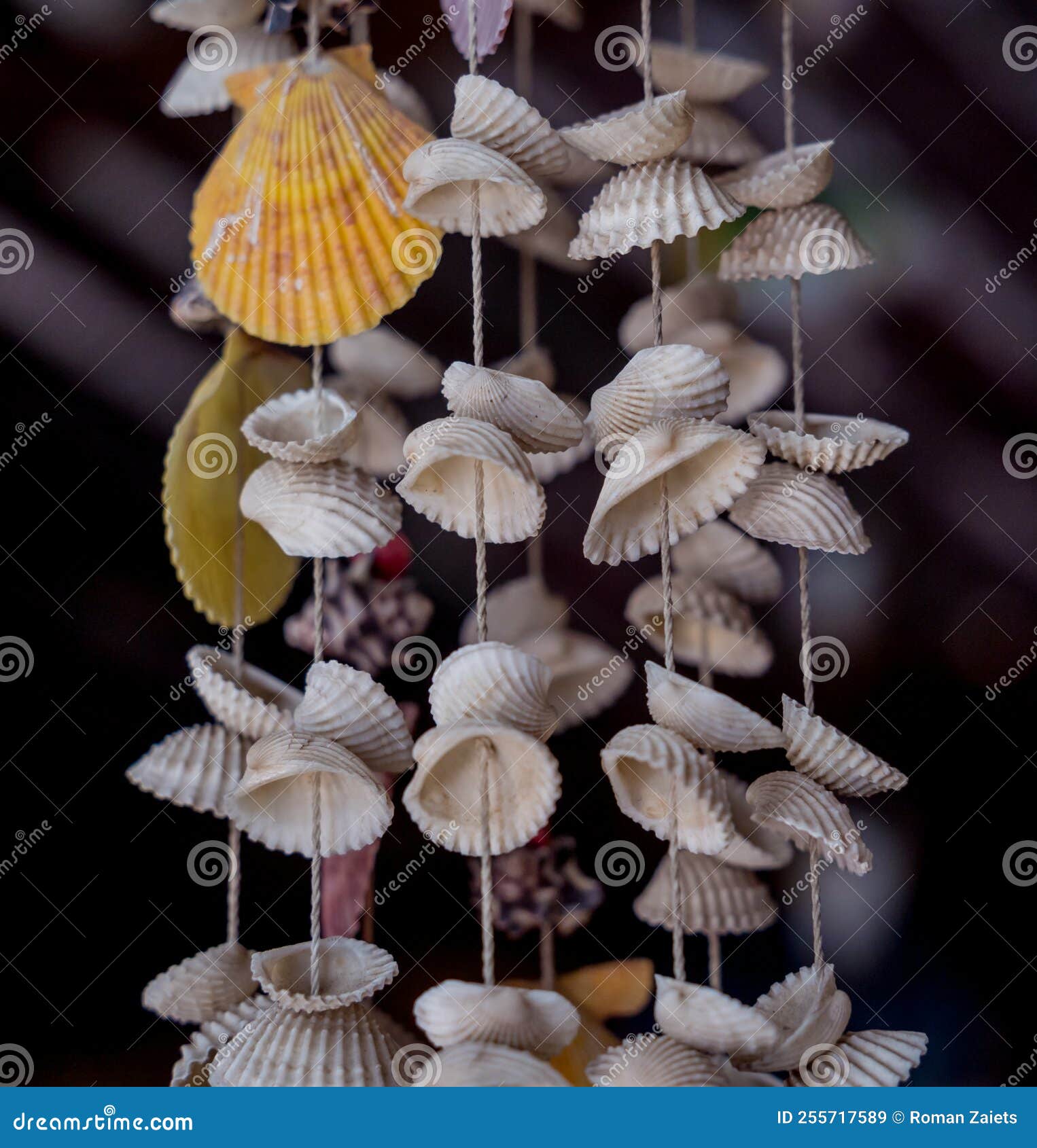 Wall Decorated with Scallop Shells in a Row Stock Image - Image of ...