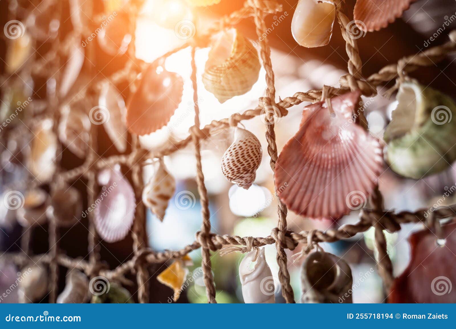 Wall Decorated with Scallop Shells in a Row Stock Photo - Image of fish ...