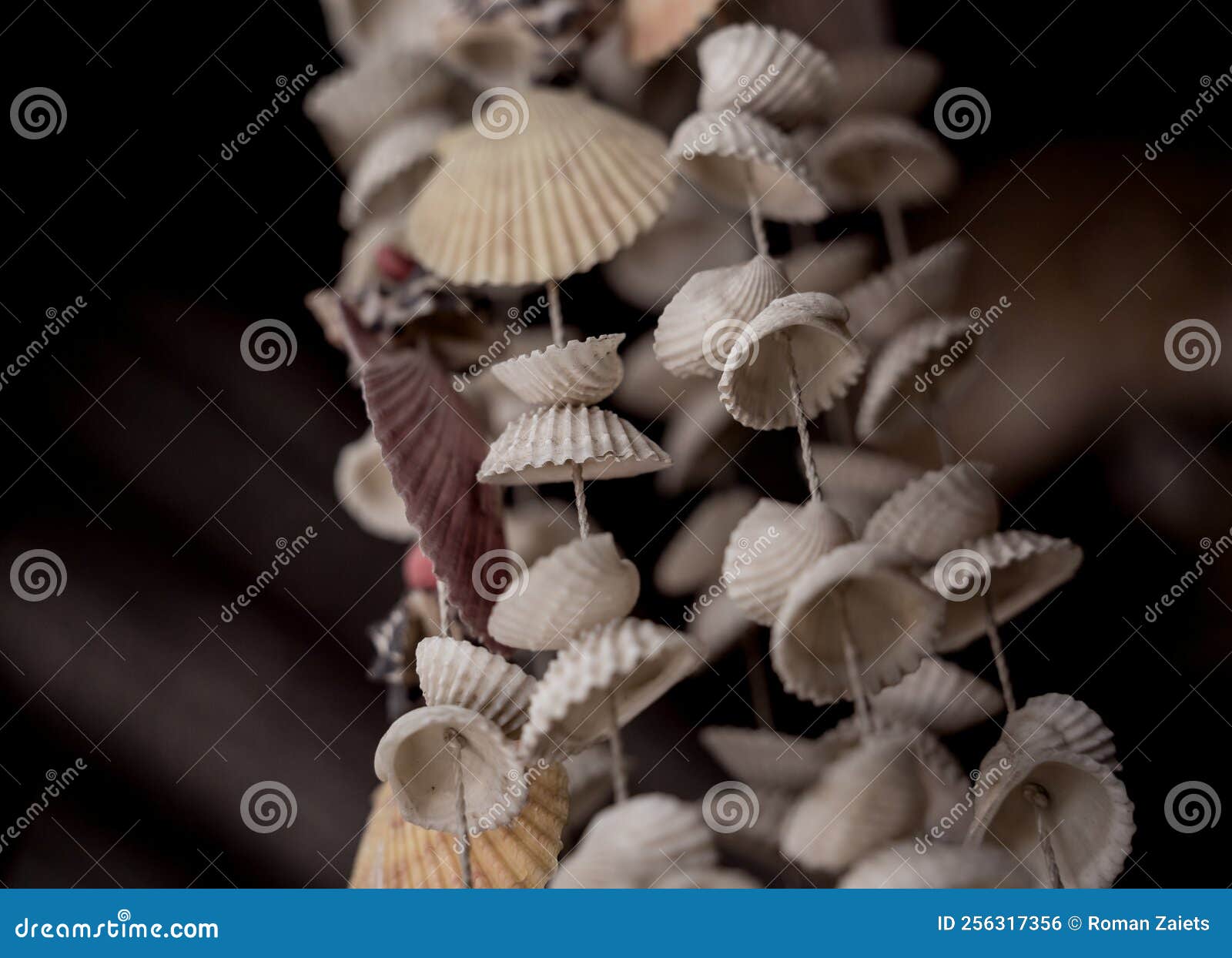 Wall Decorated with Scallop Shells in a Row Stock Photo - Image of ...