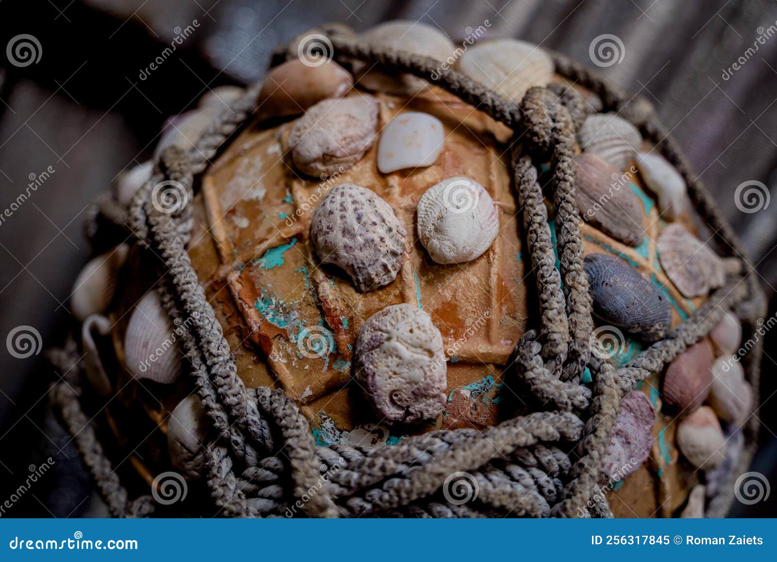 Wall Decorated with Scallop Shells in a Row Stock Image - Image of ...