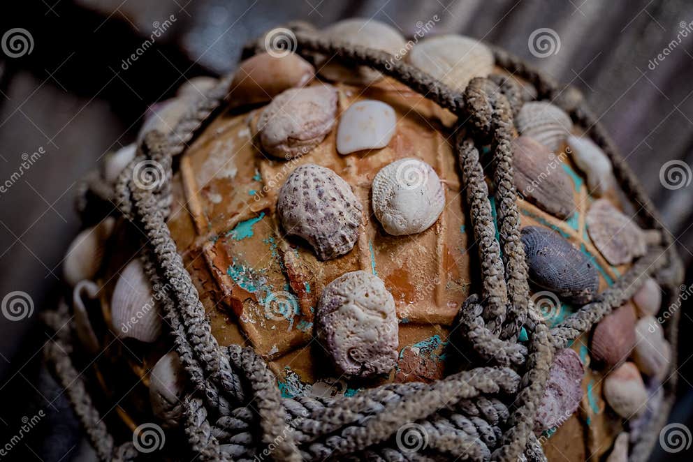 Wall Decorated with Scallop Shells in a Row Stock Image - Image of ...