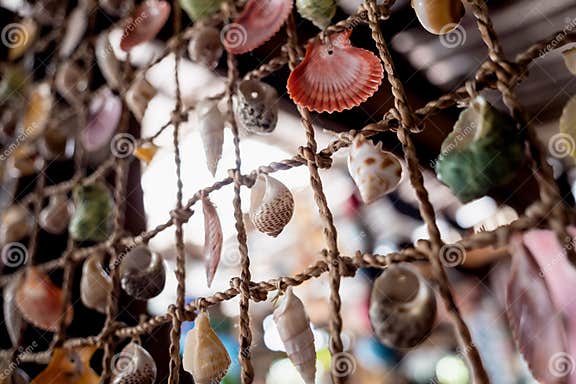 Wall Decorated with Scallop Shells in a Row Stock Image - Image of ...