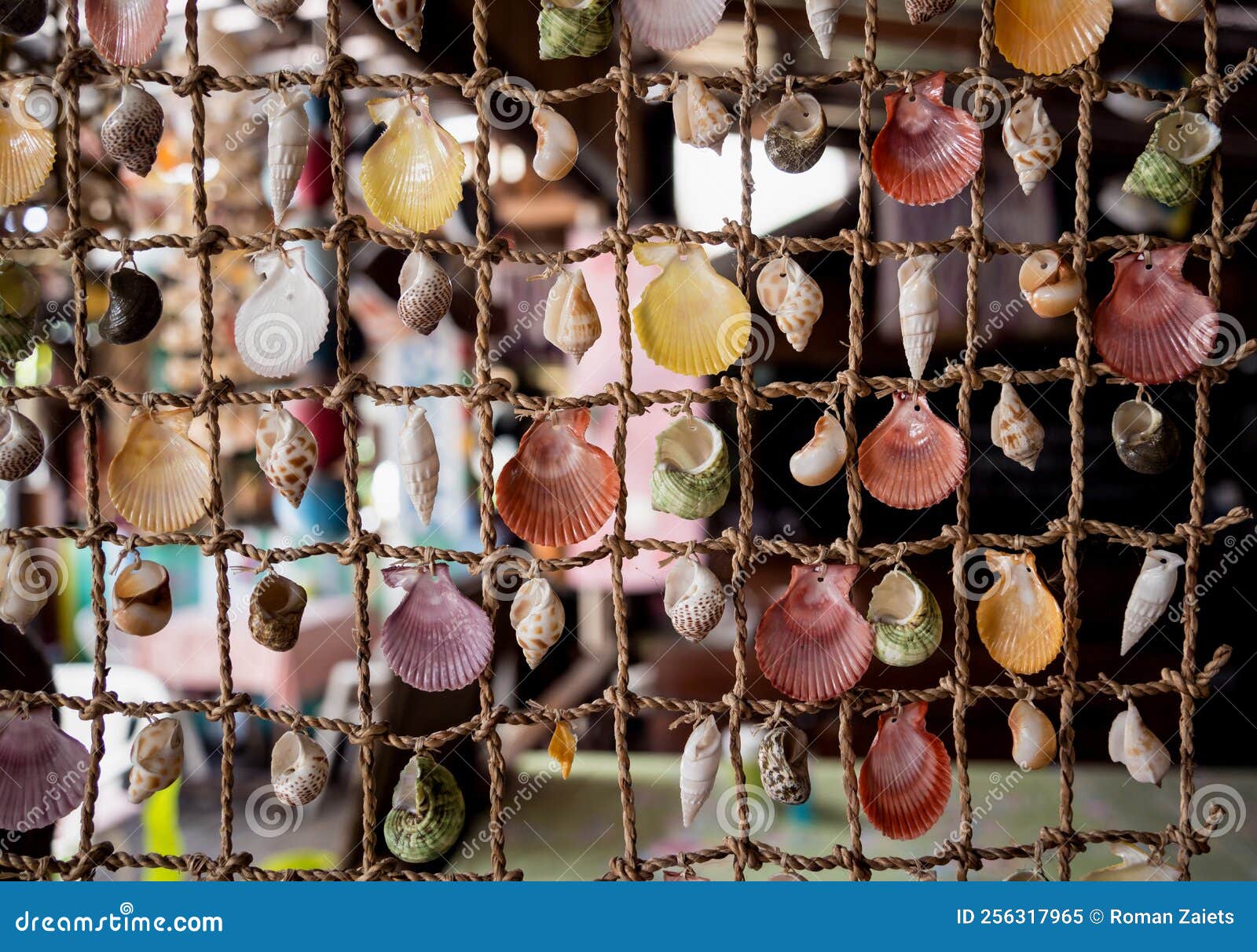 Wall Decorated with Scallop Shells in a Row Stock Image - Image of ...