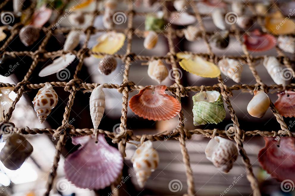 Wall Decorated with Scallop Shells in a Row Stock Image - Image of ...