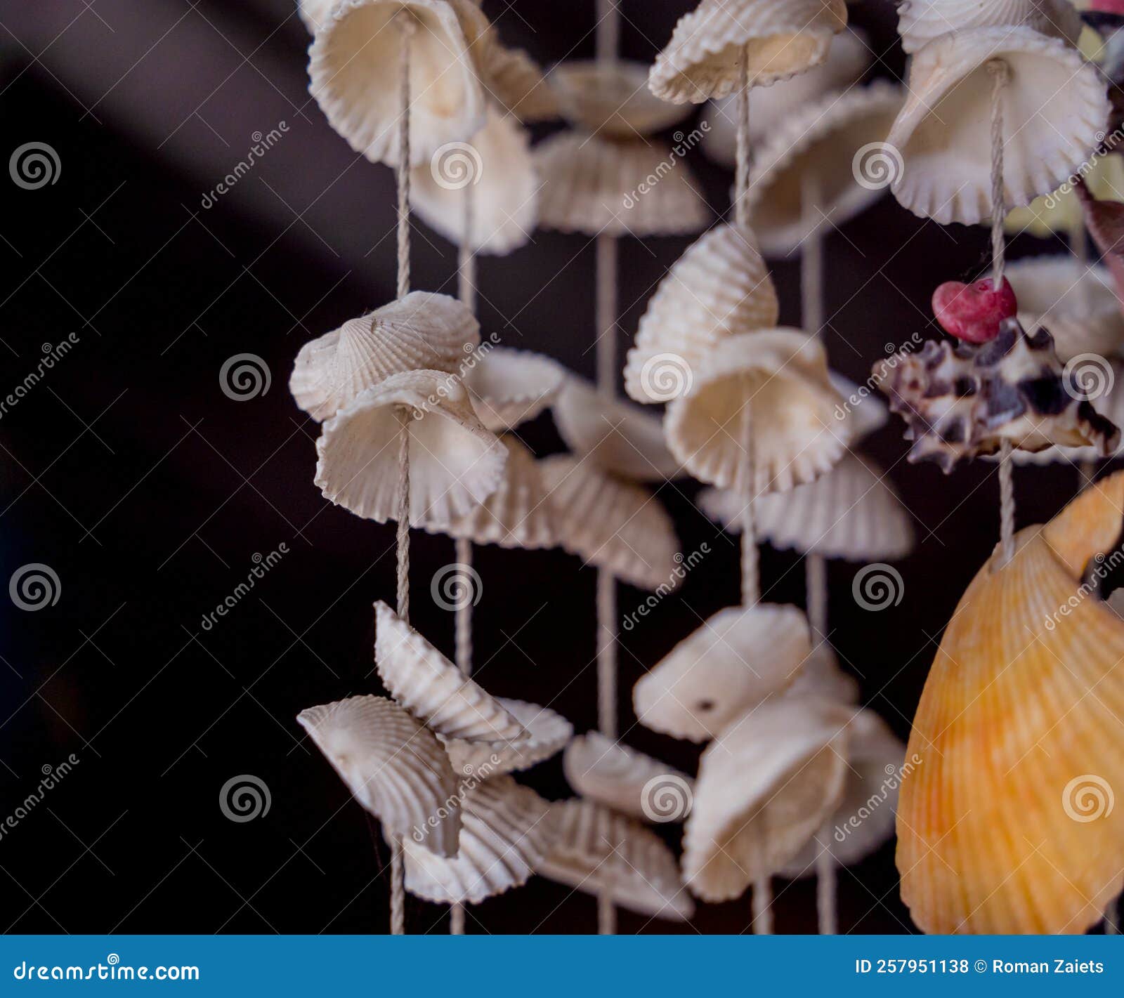 Wall Decorated with Scallop Shells in a Row Stock Photo - Image of ...
